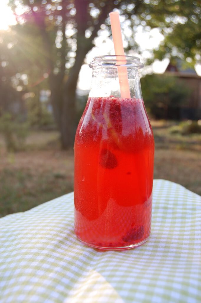Pravá domácí malinová limonáda | Životnastatku.cz